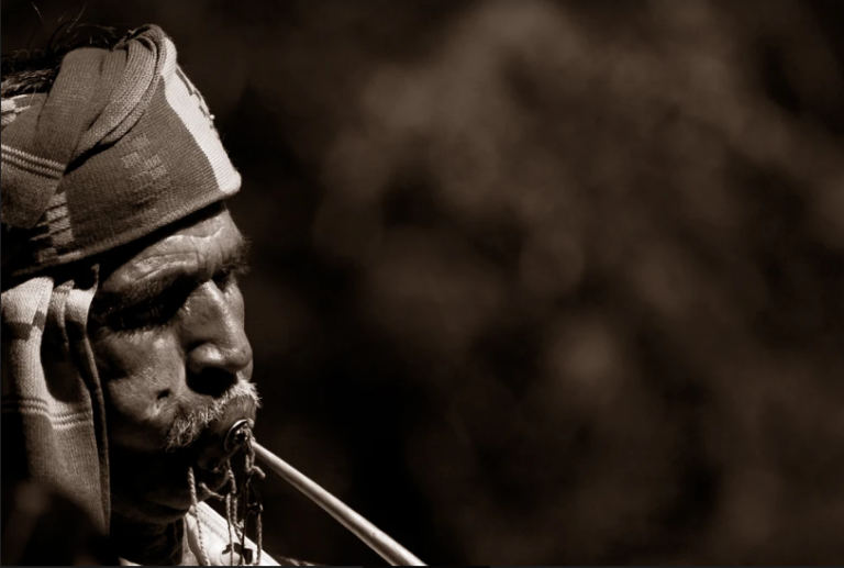 Indigenous Insights: Western Indian Art and Culture - Dhaara