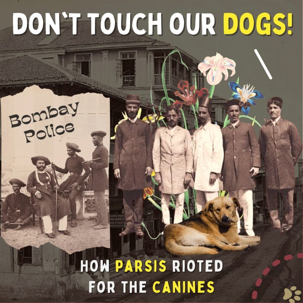 Man’s best friend or colonial enemies? : The story of the dog riots of ...